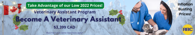 Veterinary Assistant Certification | Animal Behaviour College